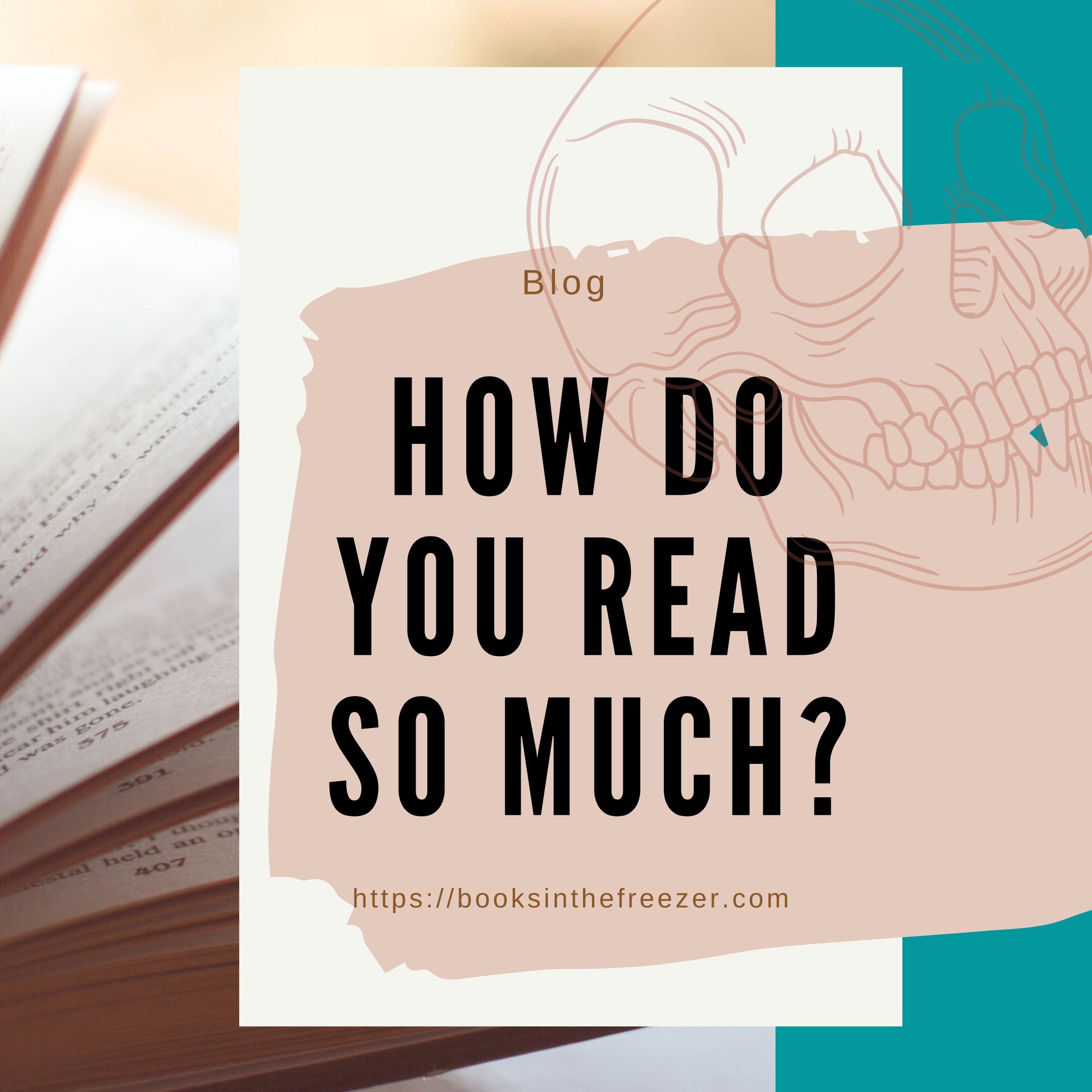 How Do You Read So Much? – Books in the Freezer
